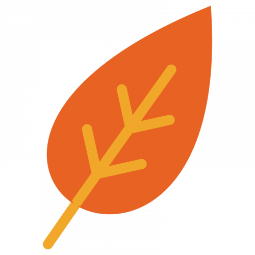 Mack’s Target Program – mackpestcontrol.com