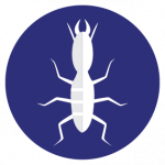 Residential Service | mackpestcontrol.com